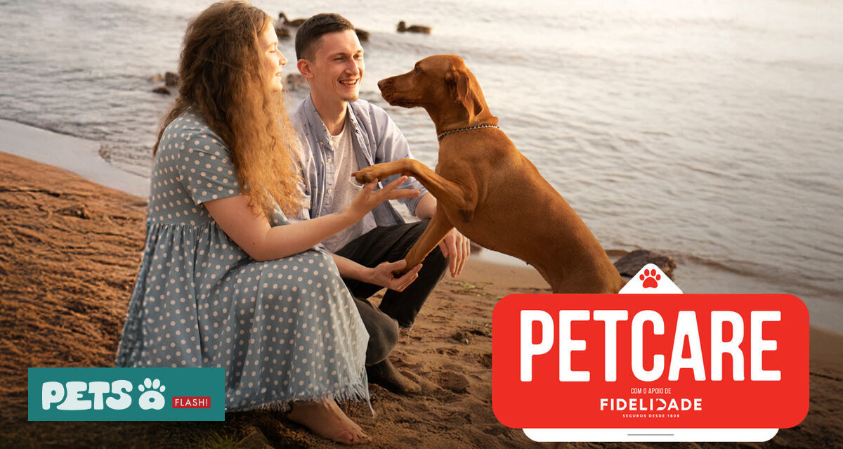 Pet protegido, dono tranquilo! Sabia que existe um seguro pensado só ...