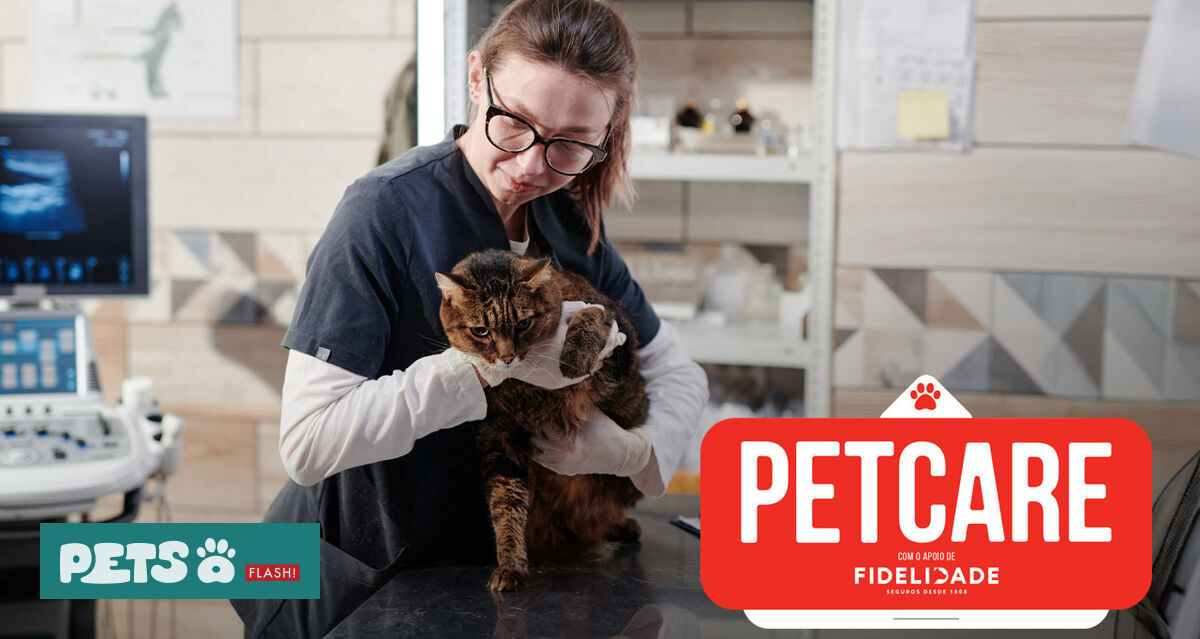 Se segue estes três cuidados com o pet, provavelmente ele está saudável ...