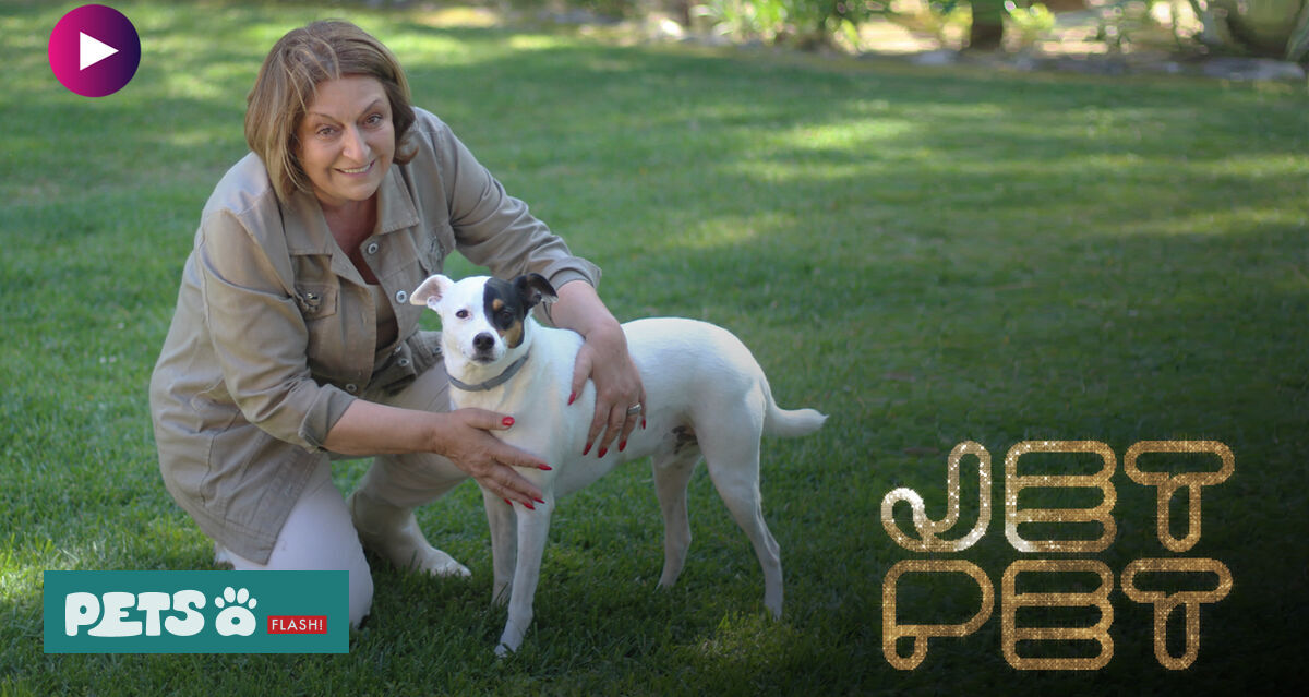 Os patudos de Maya | Jet Pet | Pets & Company